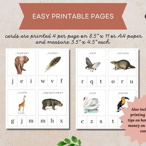 Phonics Flashcards Beginning Sounds Alphabet ABC Flash Cards - Etsy