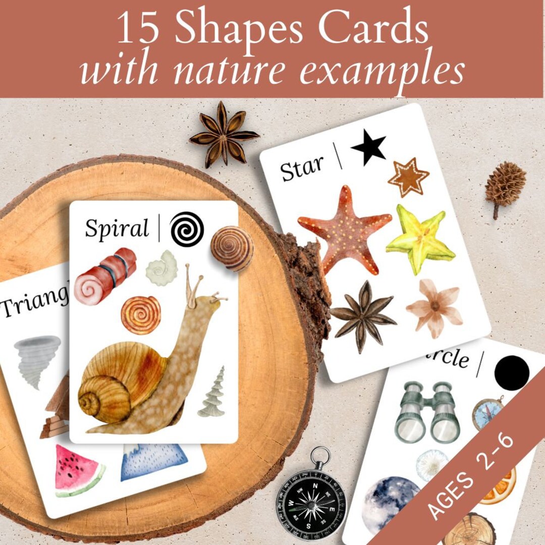2D Shapes Nature Cards, Shape Matching Activity, Learning Shapes ...