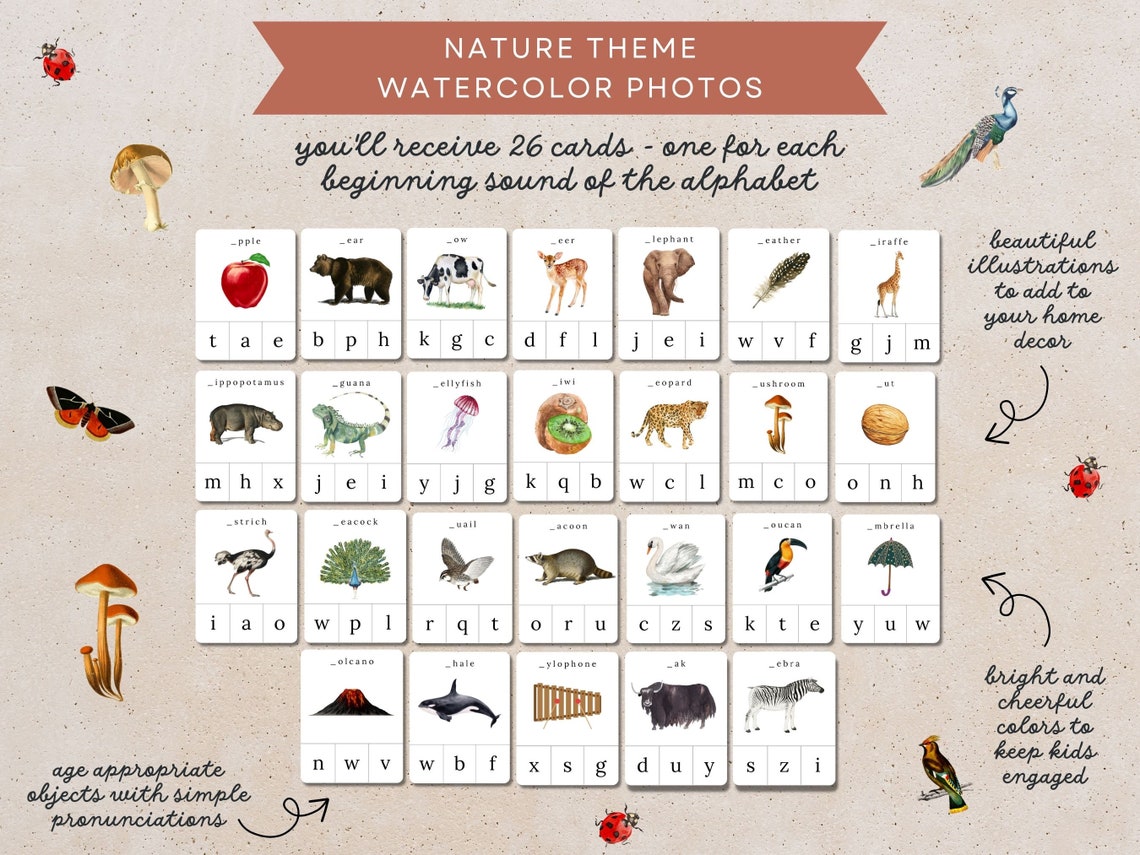 Phonics Flashcards Beginning Sounds Alphabet ABC Flash Cards - Etsy