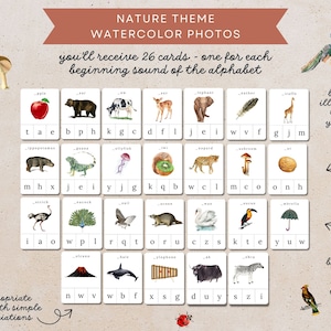 Phonics Flashcards Beginning Sounds Alphabet ABC Flash Cards - Etsy