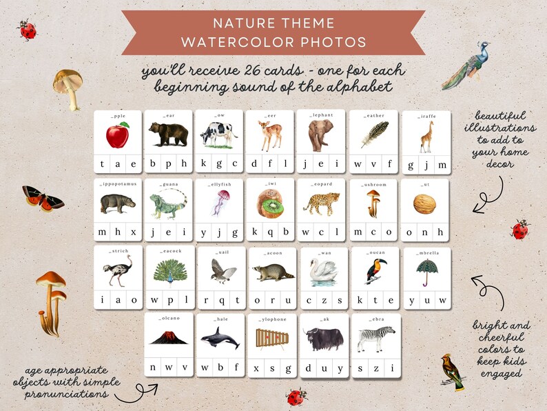 Phonics Flashcards Beginning Sounds Alphabet ABC Flash Cards - Etsy