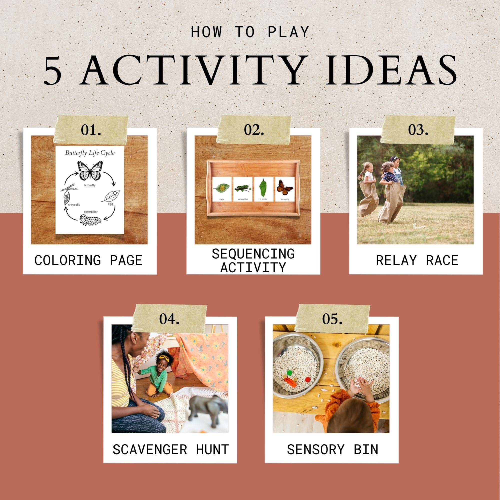 Butterfly Life Cycle Printable for Preschooler, Montessori Butterfly ...