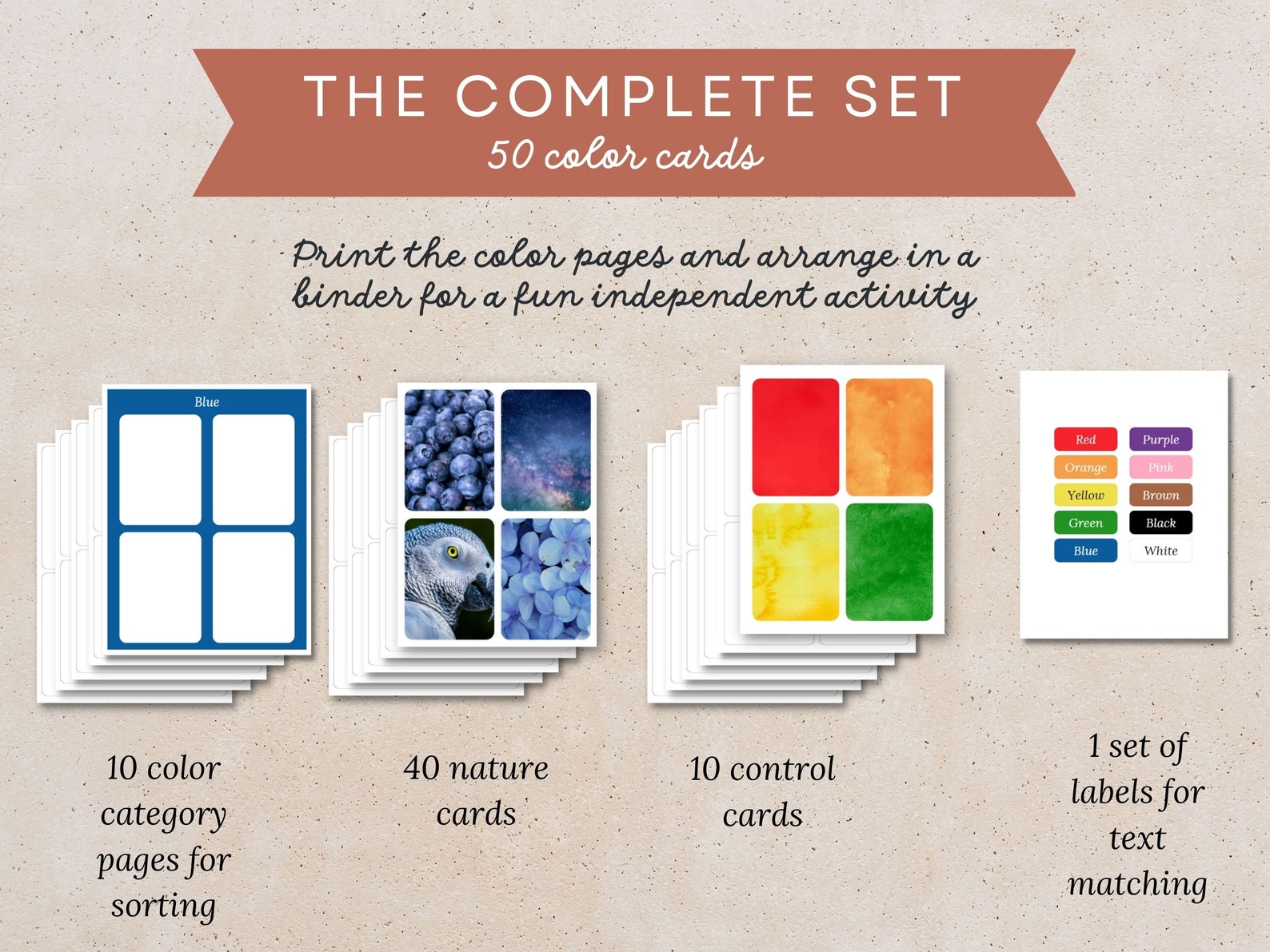 Color Sorting Printable Cards, Montessori Color Matching Activity ...