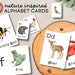 Nature Alphabet Flashcards for Kids, Watercolor ABC Cards Printable ...
