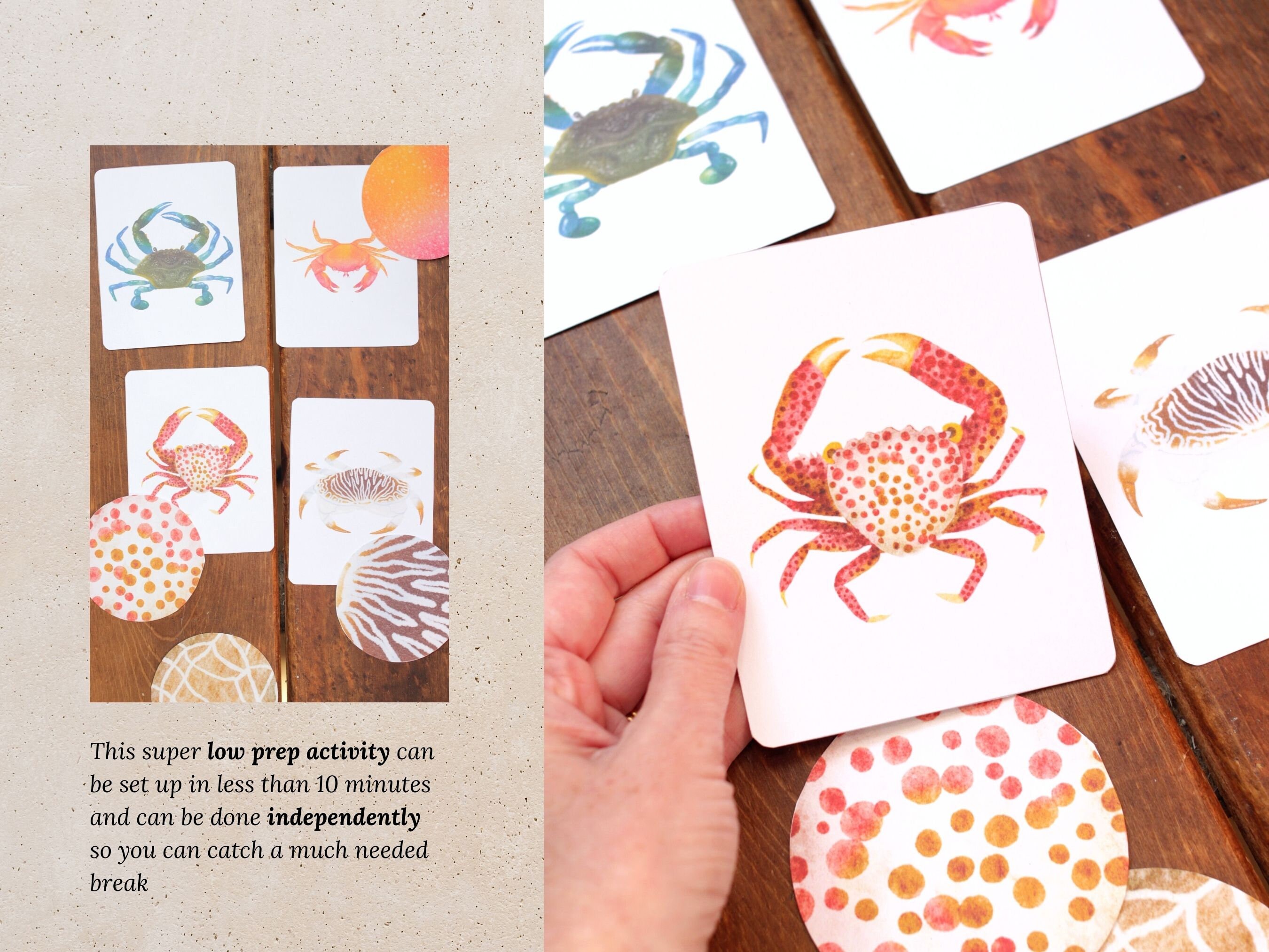Crab Matching Card Digital Download, Beach Ocean Learning Montessori ...