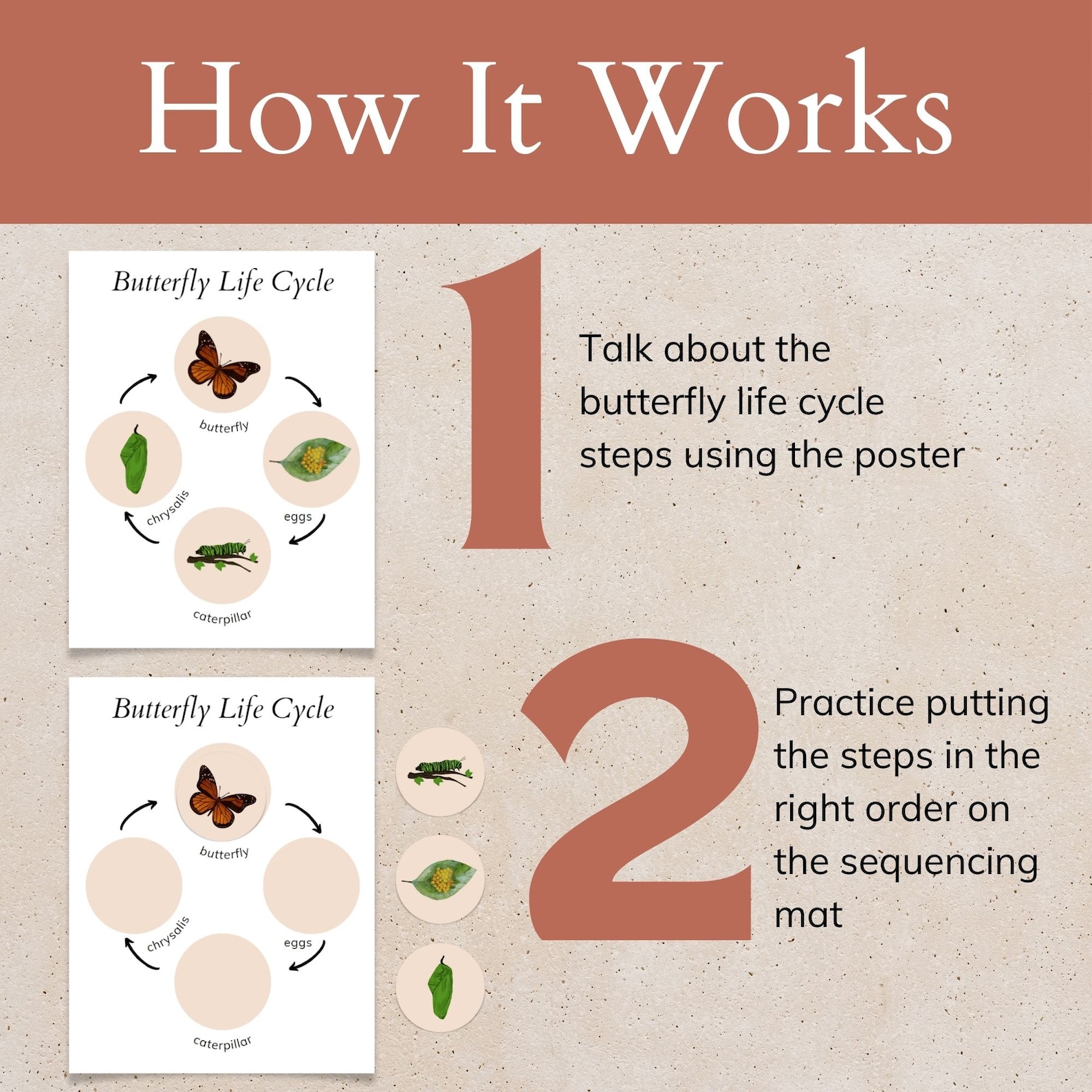 Butterfly Life Cycle Printable for Preschooler, Montessori Butterfly ...