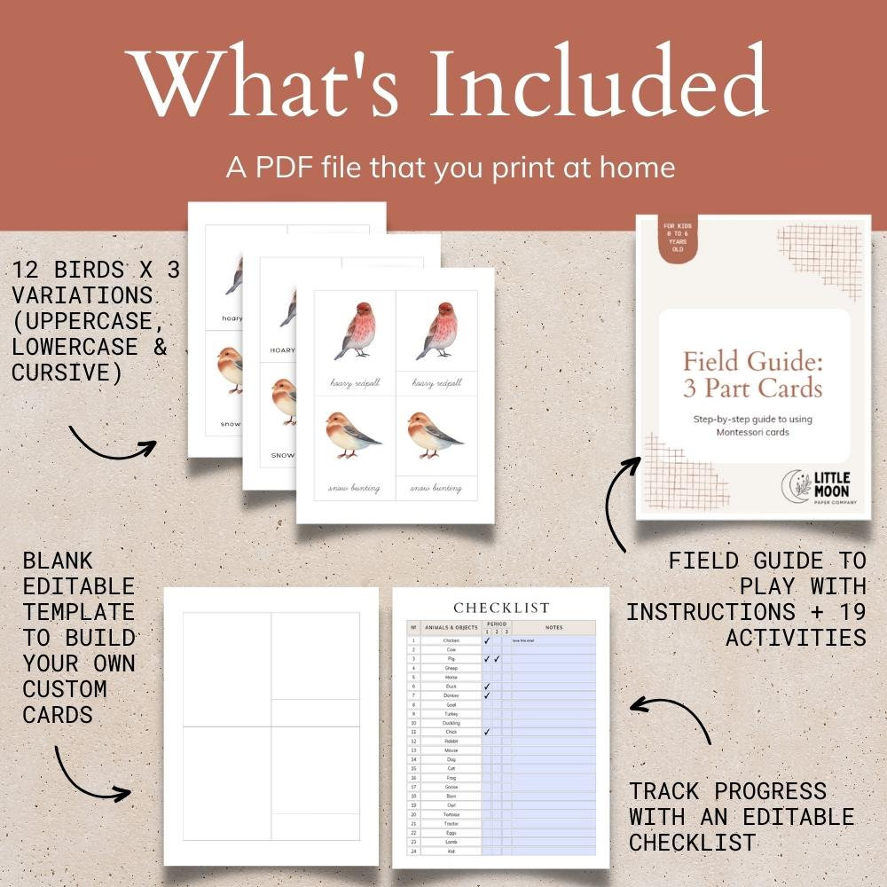 Winter Birds Flashcards Printable, Montessori Winter Activities for ...