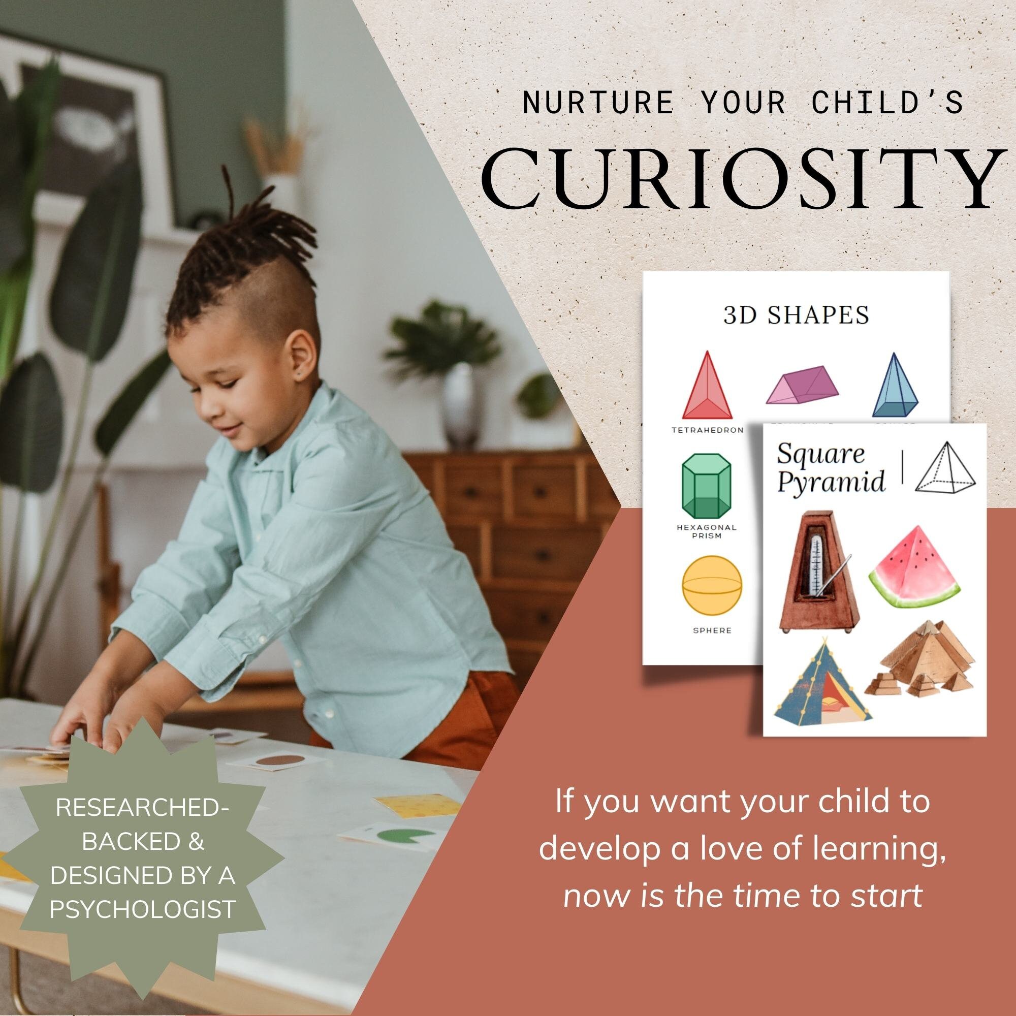 3D Shapes Flashcards Printable, Shape Matching Activities Kindergarten ...