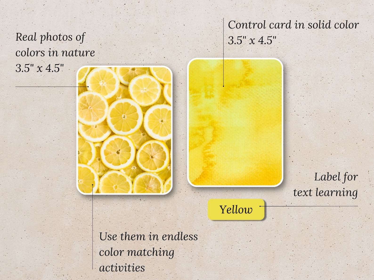 Color Sorting Printable Cards, Montessori Color Matching Activity ...