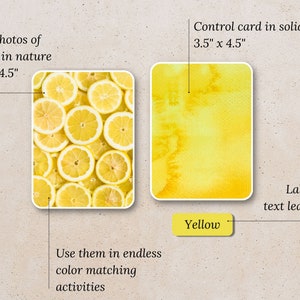 Color Sorting Printable Cards, Montessori Color Matching Activity ...