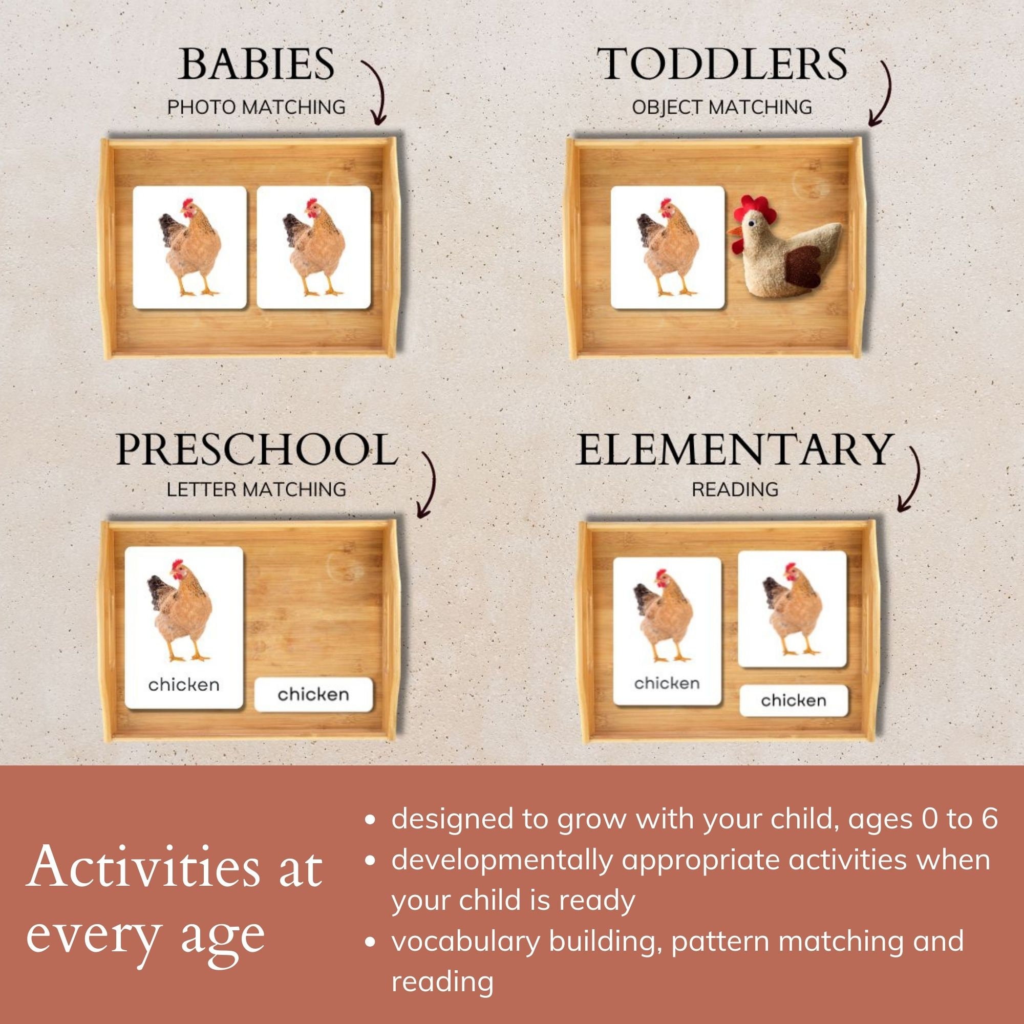 Types of Bee Vocabulary Flashcard, Montessori 3 Part Card Bee Preschool ...