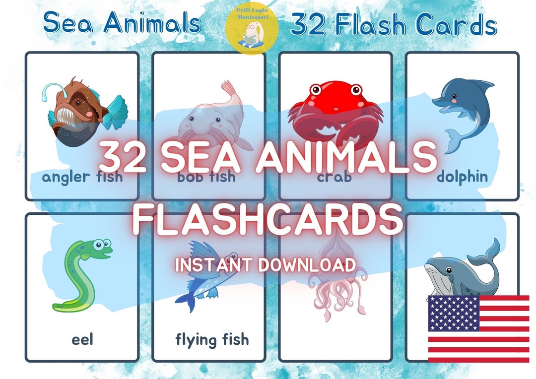 Sea Animals 32 Flash Cards: Homeschool, Preschool, Kindergarten - Etsy