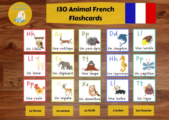 130 Animal Flashcards IN FRENCH: Learn About the Animals From - Etsy