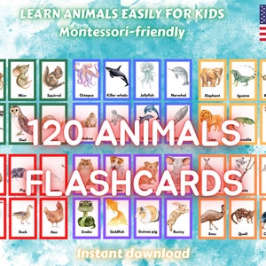 120 Animals Printable Flashcards for Children: Forest, Ocean, Farm ...