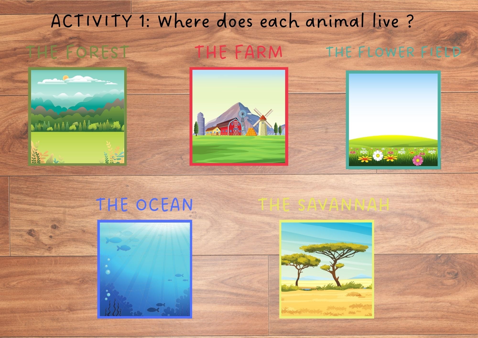 130 Animal Flashcards IN FRENCH: Learn About the Animals From the Farm ...