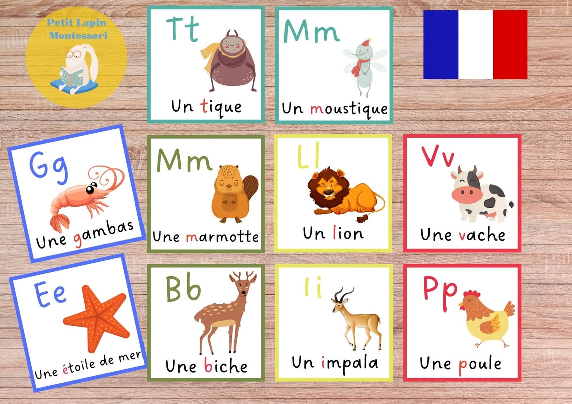 130 Animal Flashcards IN FRENCH: Learn About the Animals From the Farm ...