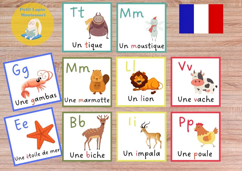 130 Animal Flashcards IN FRENCH: Learn About the Animals From the Farm ...