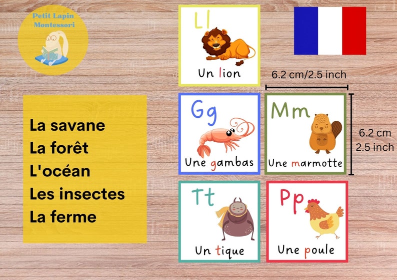 130 Animal Flashcards IN FRENCH: Learn About the Animals From the Farm ...