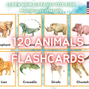 120 Animals Printable Flashcards for Children: Forest, Ocean, Farm ...