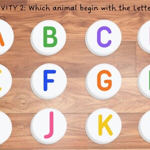 130 Animal Flashcards IN FRENCH: Learn About the Animals From the Farm ...