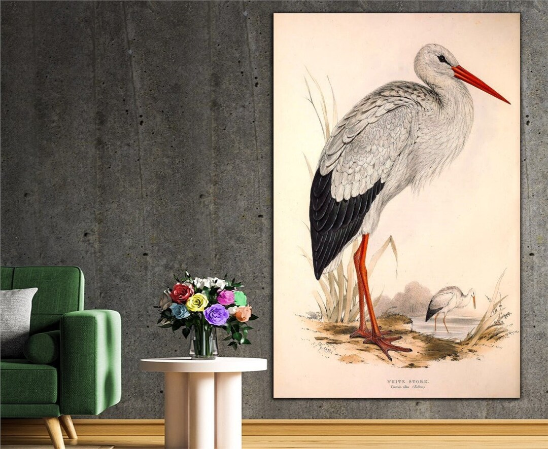 Edward Lear White Stork Canvas Print Wall Art, Lear Poster,edward Lear ...