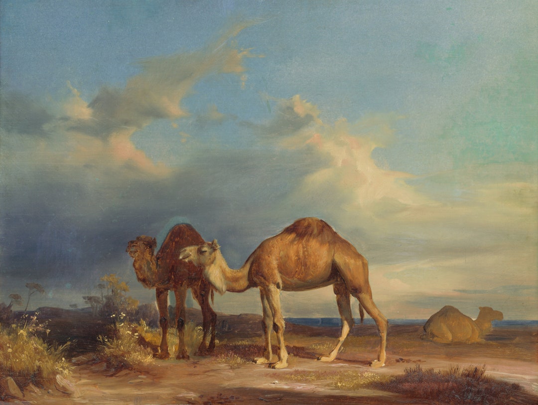 Károly Markó the Elder Camels in a Southern Landscape 1835 Canvas Print ...