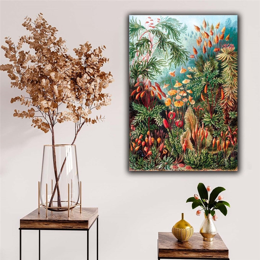 Ernst Haeckel Muscinae 1904Leinwandbild Wandkunst,Haeckel Poster ...