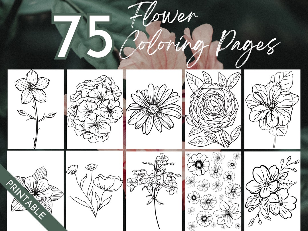 75 Flower Coloring Pages Printable Instant Digital Download Coloring ...