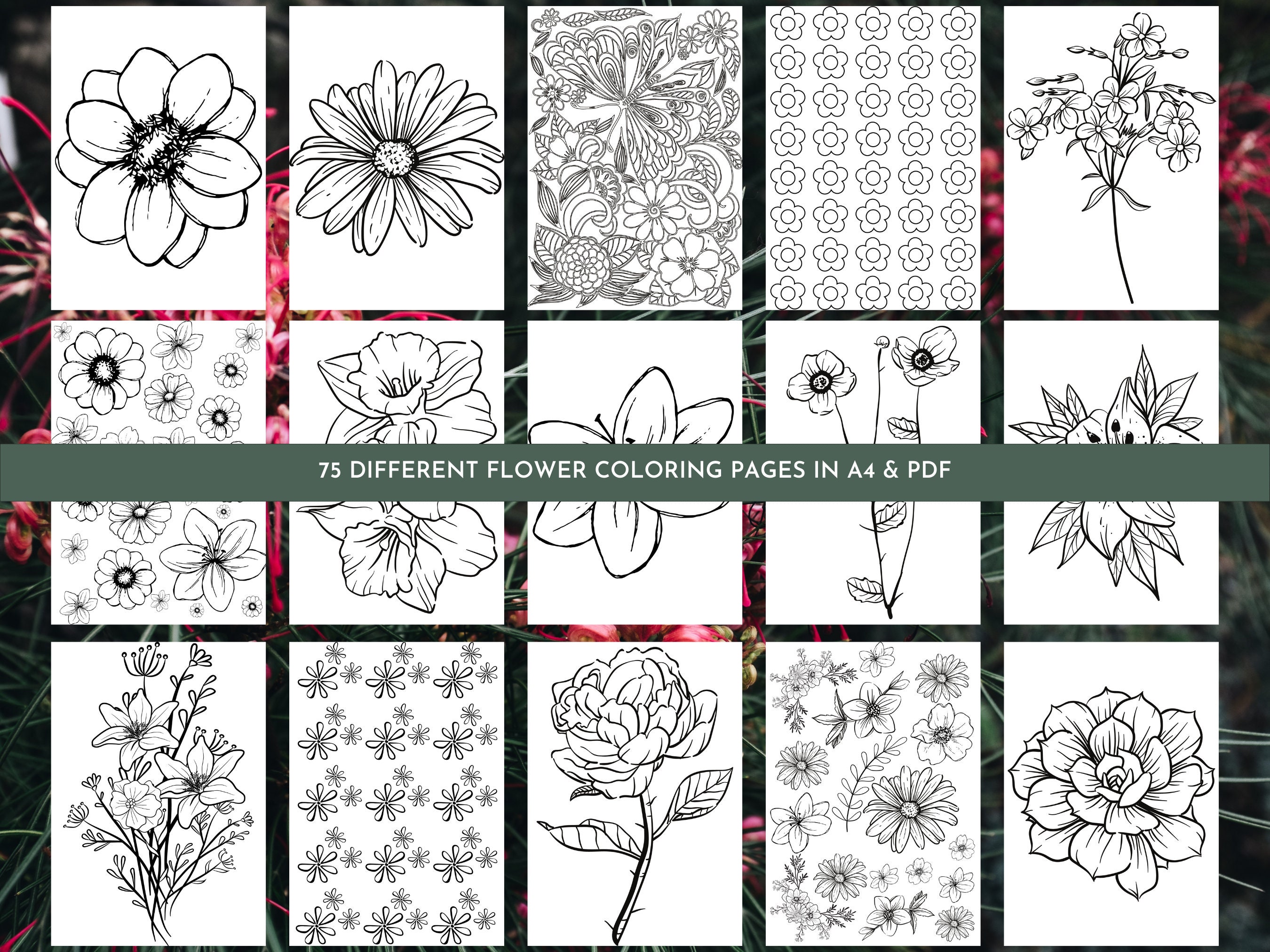 75 Flower Coloring Pages Printable Instant Digital Download Coloring ...