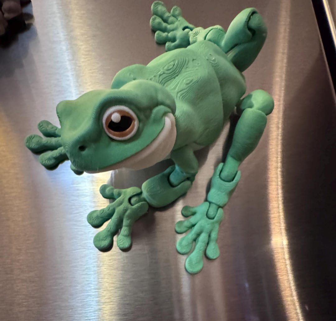 3D Printed Articulated Frog | Magnetic Fidget Toy | Fun Fridge Magnet ...