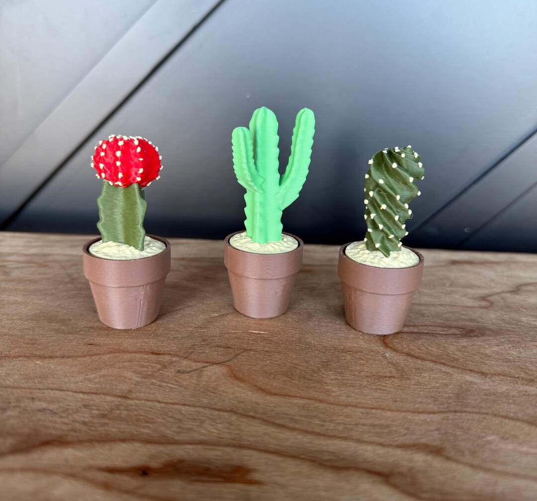 Fidget Clicky Toy With Mechanical Switches – 3D Printed Clicky Cactus ...