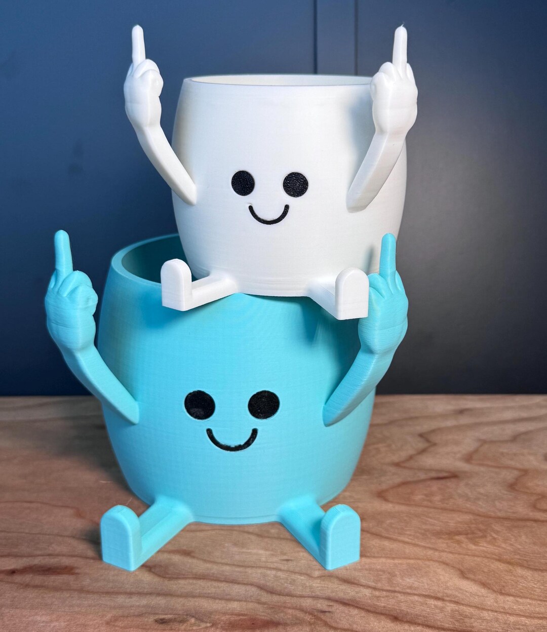 Middle Finger Happy Pot V2 (legs)- 3D Printed Planter, Edgy Succulent ...