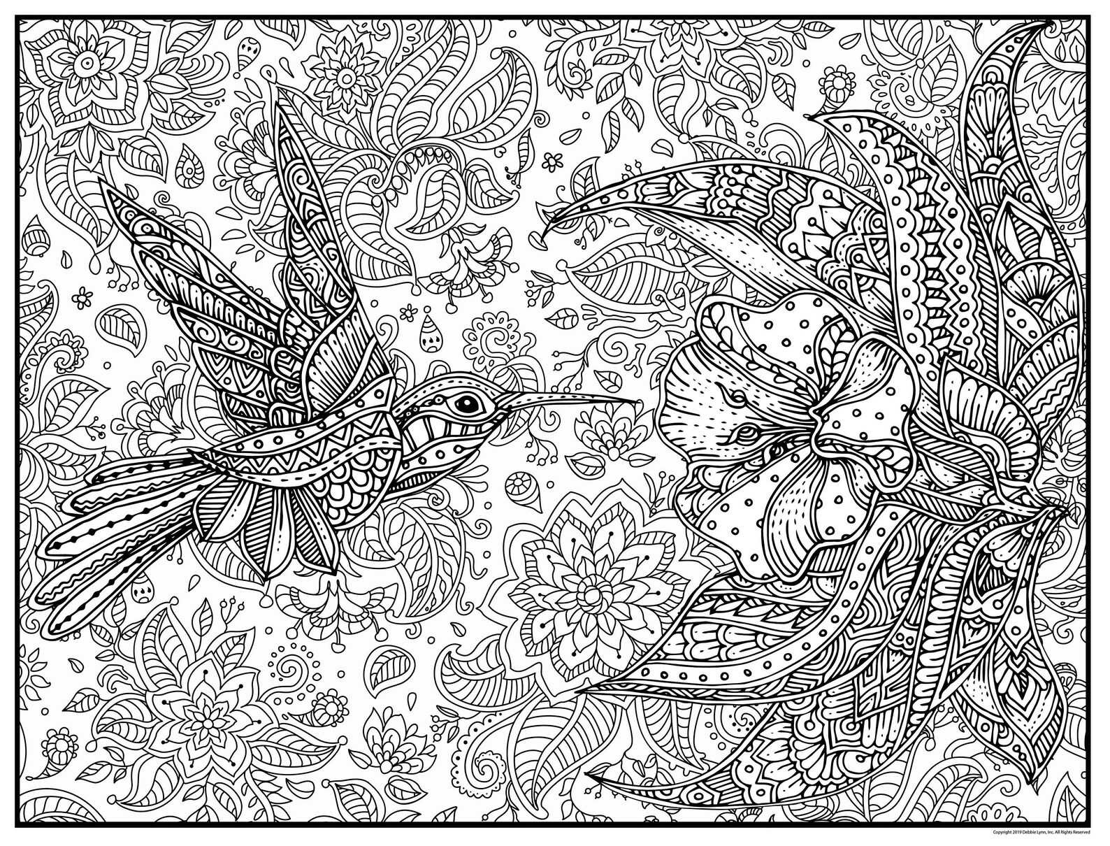 Hummingbird Coloring Poster ROLLED Huge Size 48x63" | Adult Coloring ...