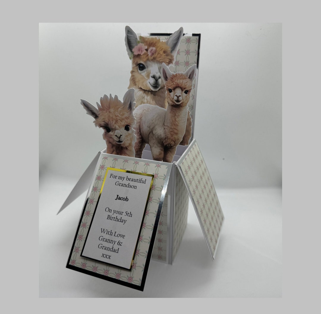 Personalised Alpaca Pop up Box Card Alpaca Birthday Card Birthday Card ...