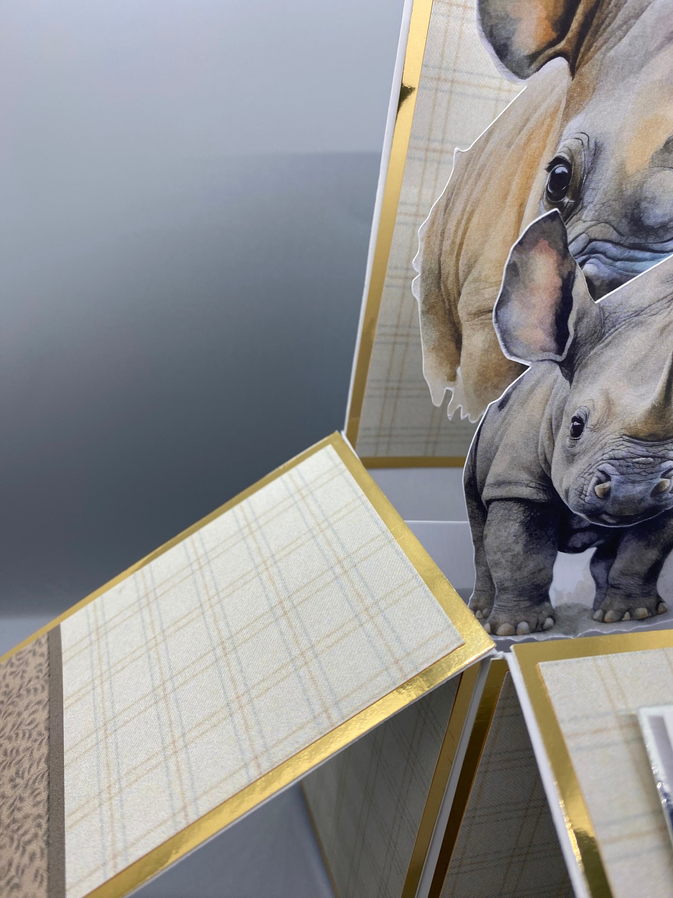 Personalised Rhino Pop up Box Card Rhinoceros Birthday Card - Etsy
