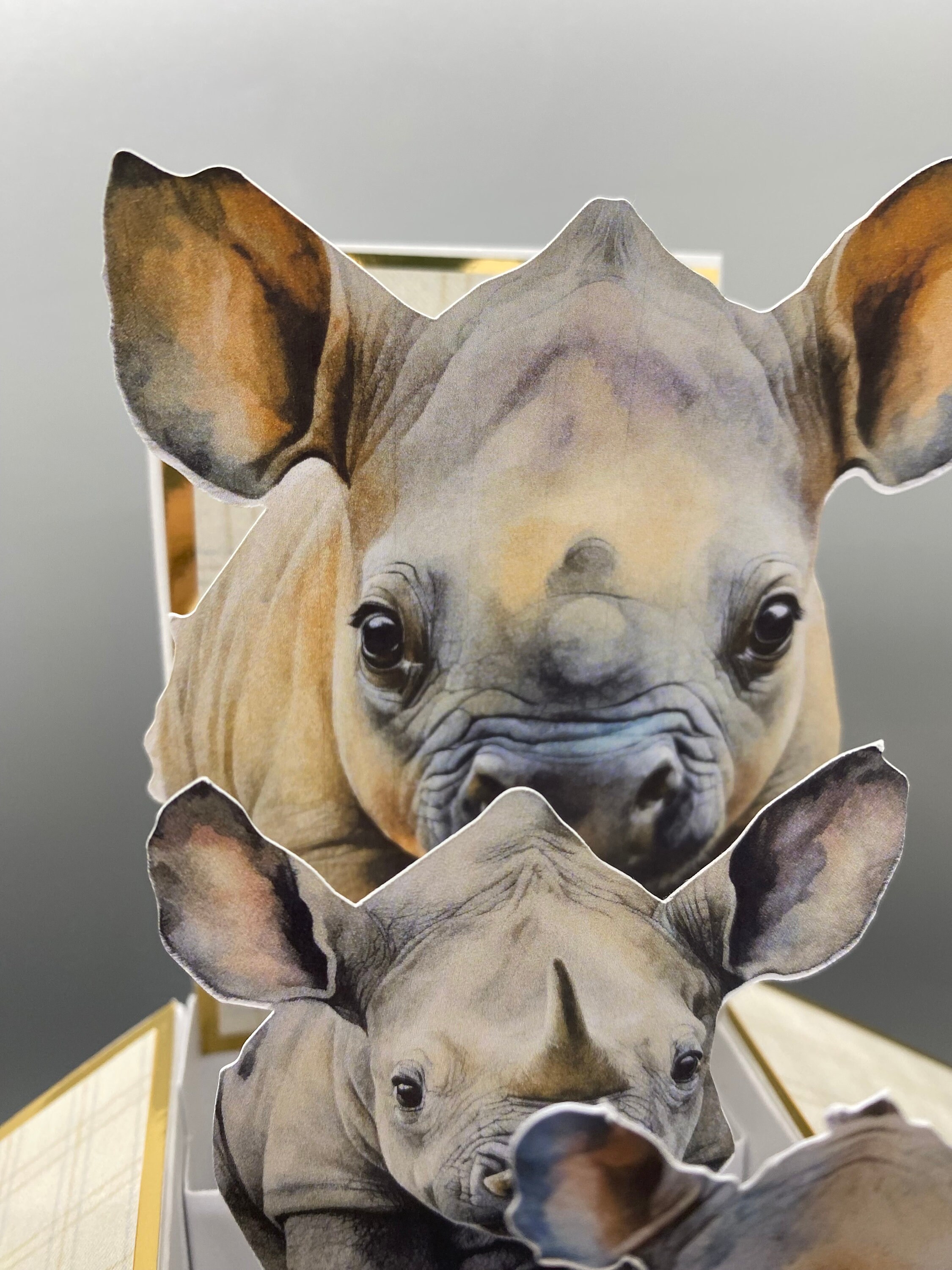 Personalised Rhino Pop up Box Card Rhinoceros Birthday Card - Etsy