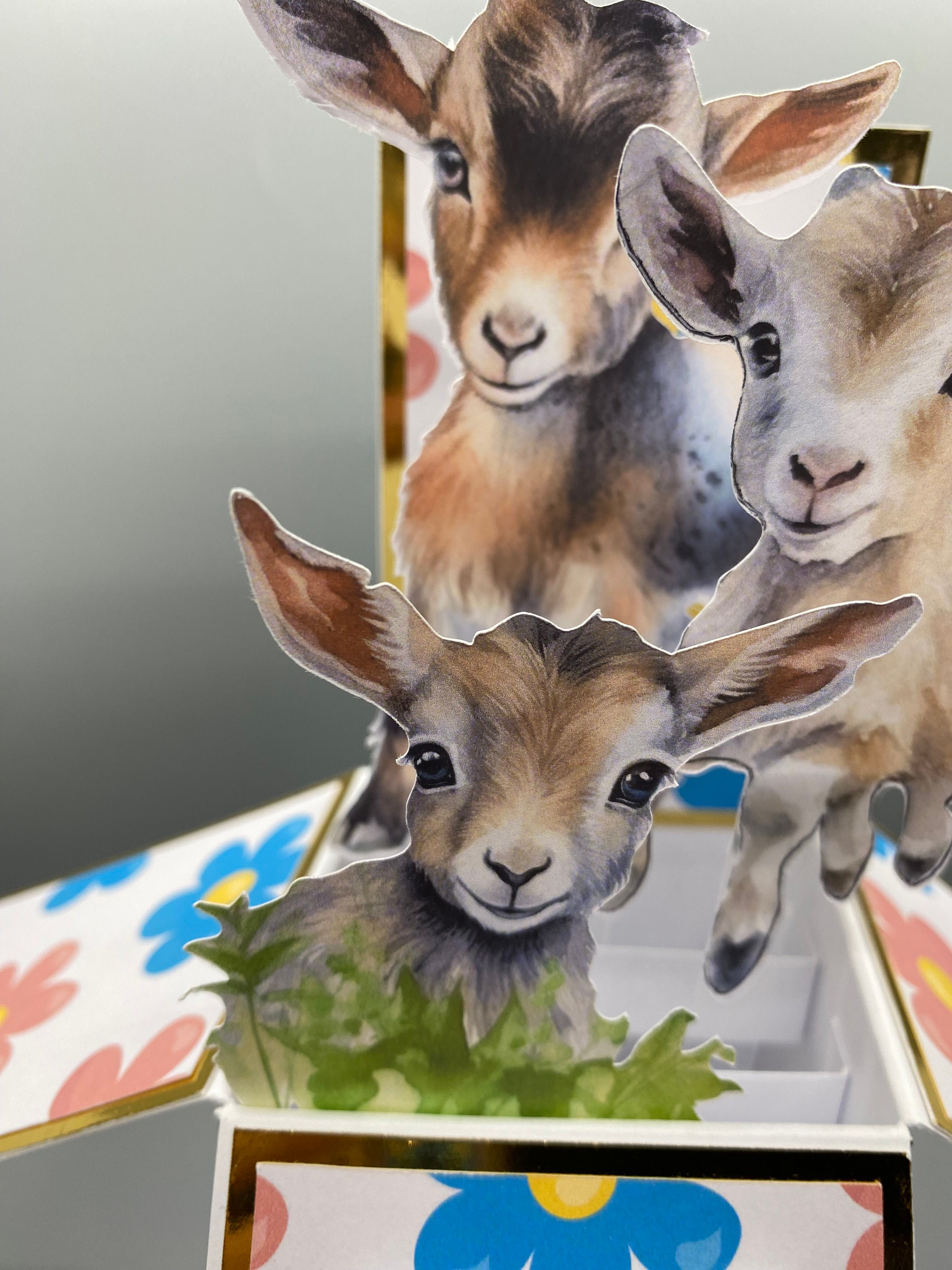 Personalised Goat Pop up Box Card Goat Birthday Card - Etsy