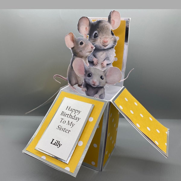 Pop up Box Card - Etsy UK