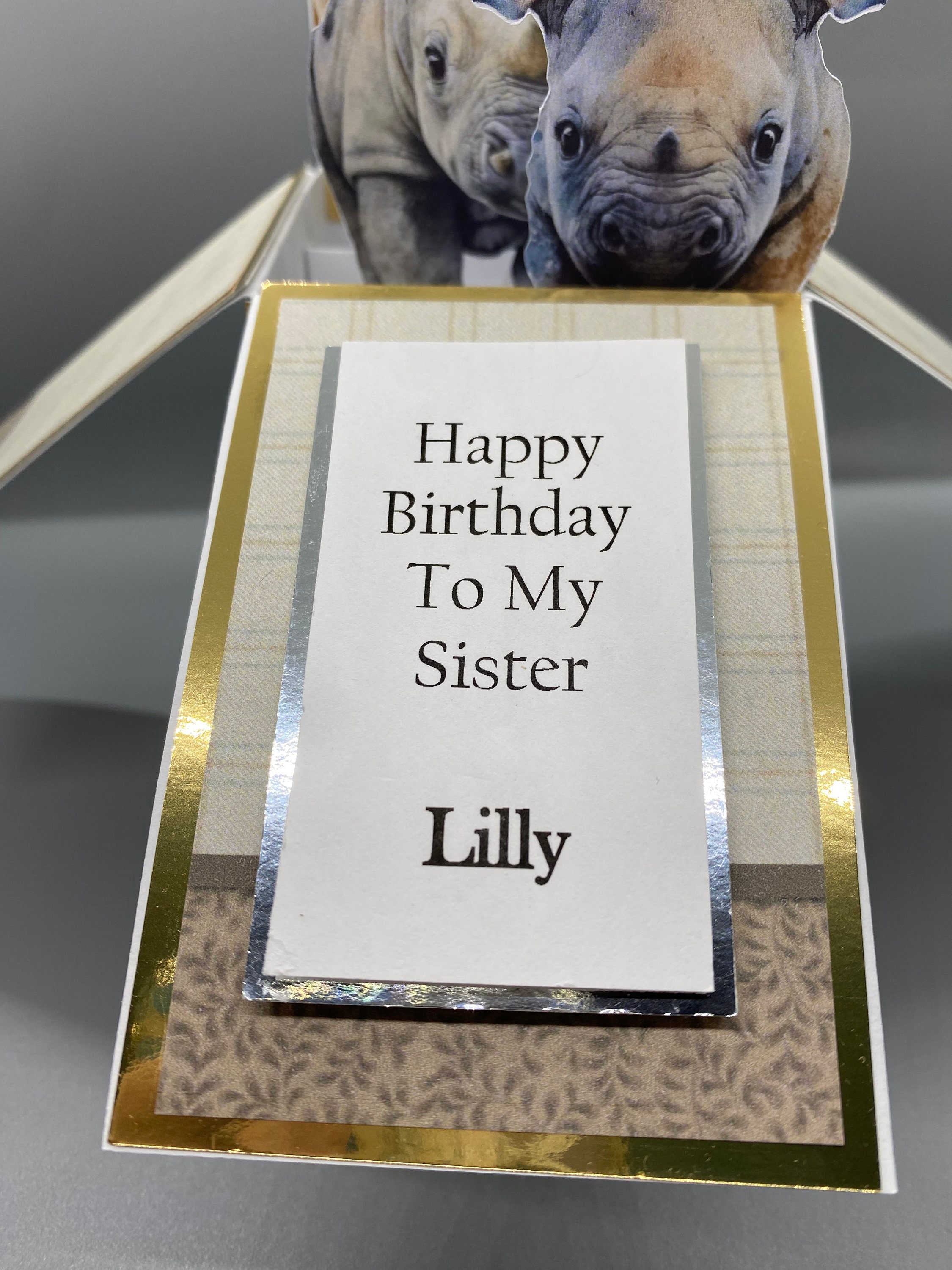 Personalised Rhino Pop up Box Card Rhinoceros Birthday Card - Etsy
