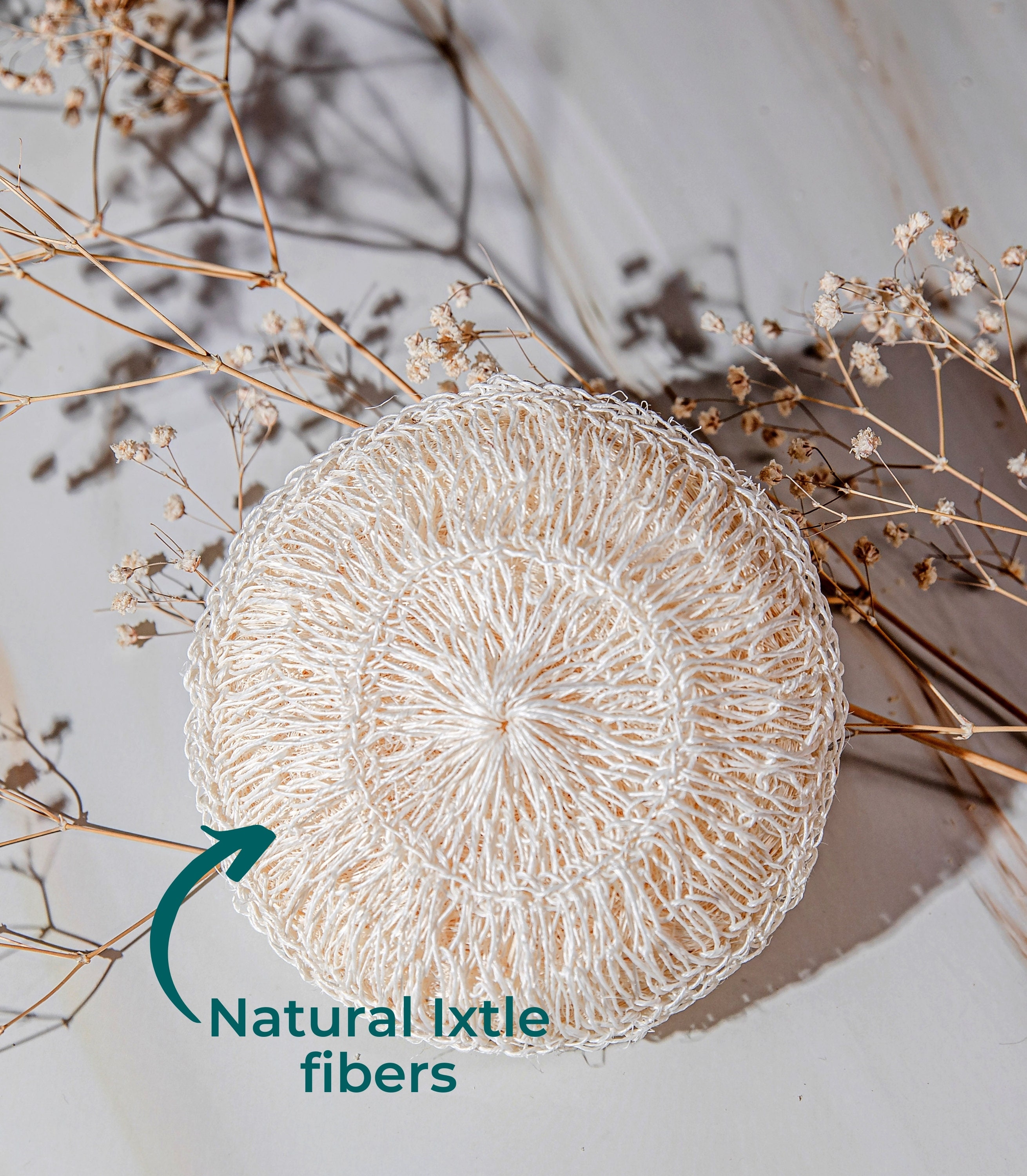 Natural Body Sponge - Etsy
