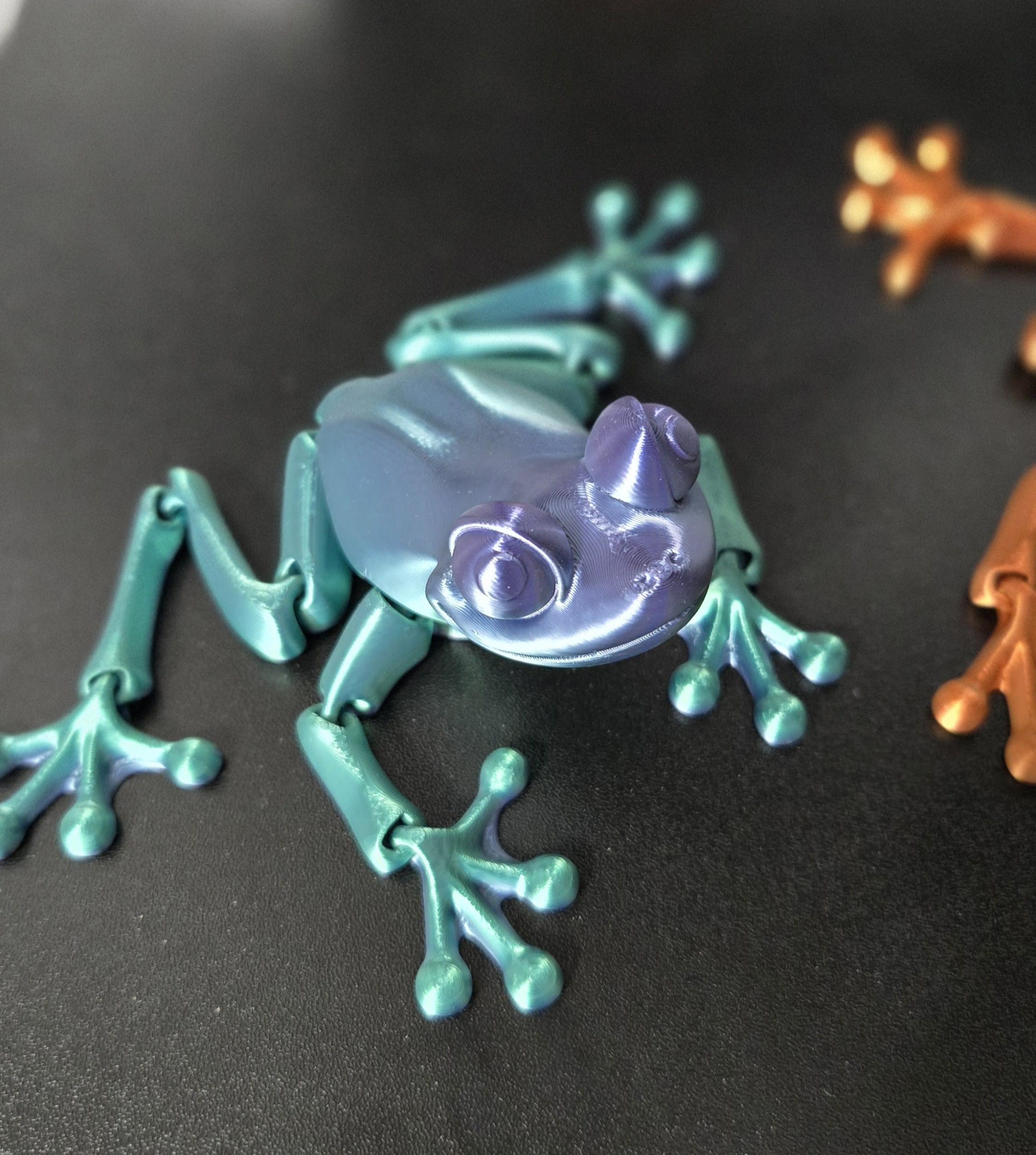 3d Printed Articulated Frog - Etsy