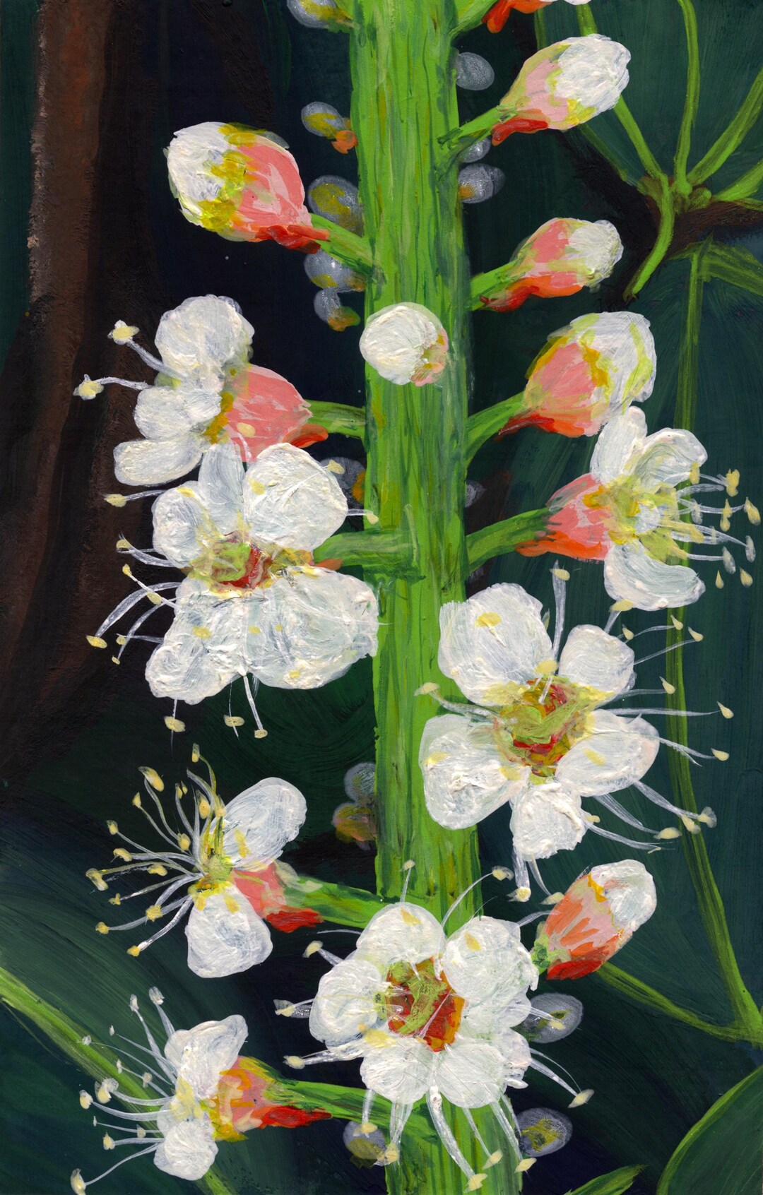 Original Painting - Cherry Laurel (day 8/30) - Etsy