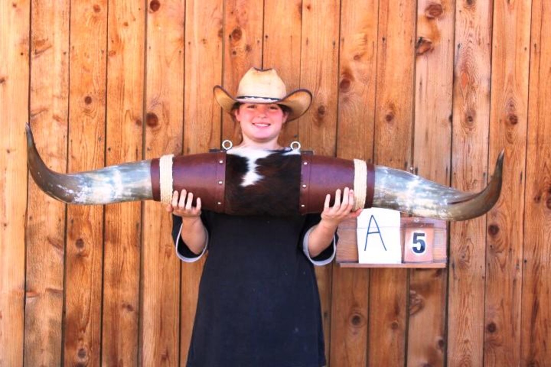 LH45 - 4' 3" Mounted Bullhorn ART!! Western Decor! No Skull Steer ...