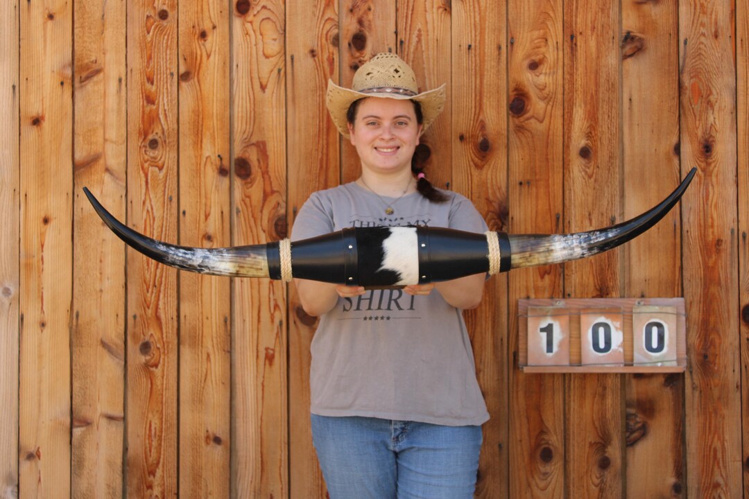 LH100 - 3' 9" Small Longhorn ART!! Western Decor! No Skull Steer ...