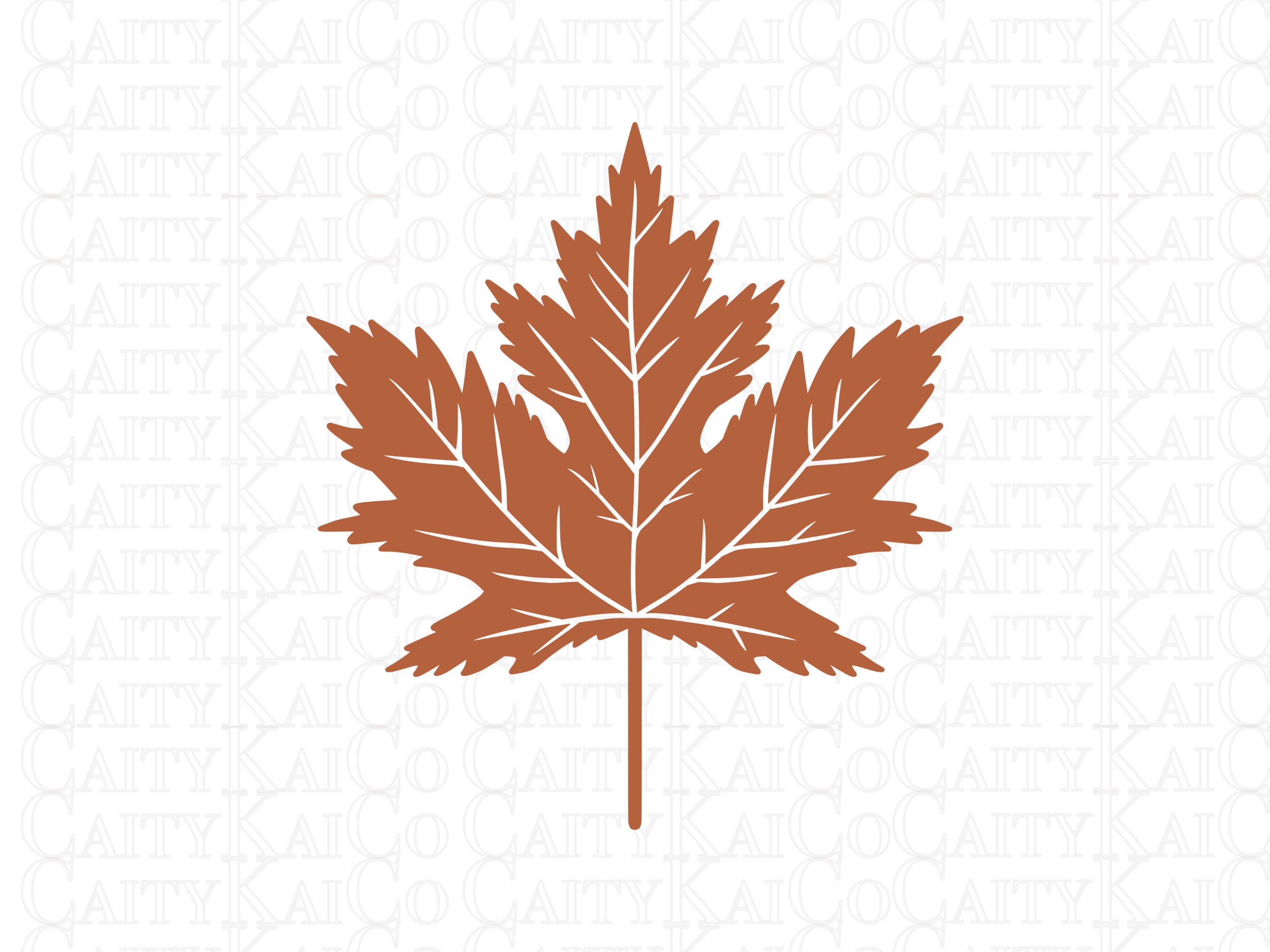 Fall Leaves Svg Bundle of 8 Autumn Leaf Svg Fall Leaf - Etsy