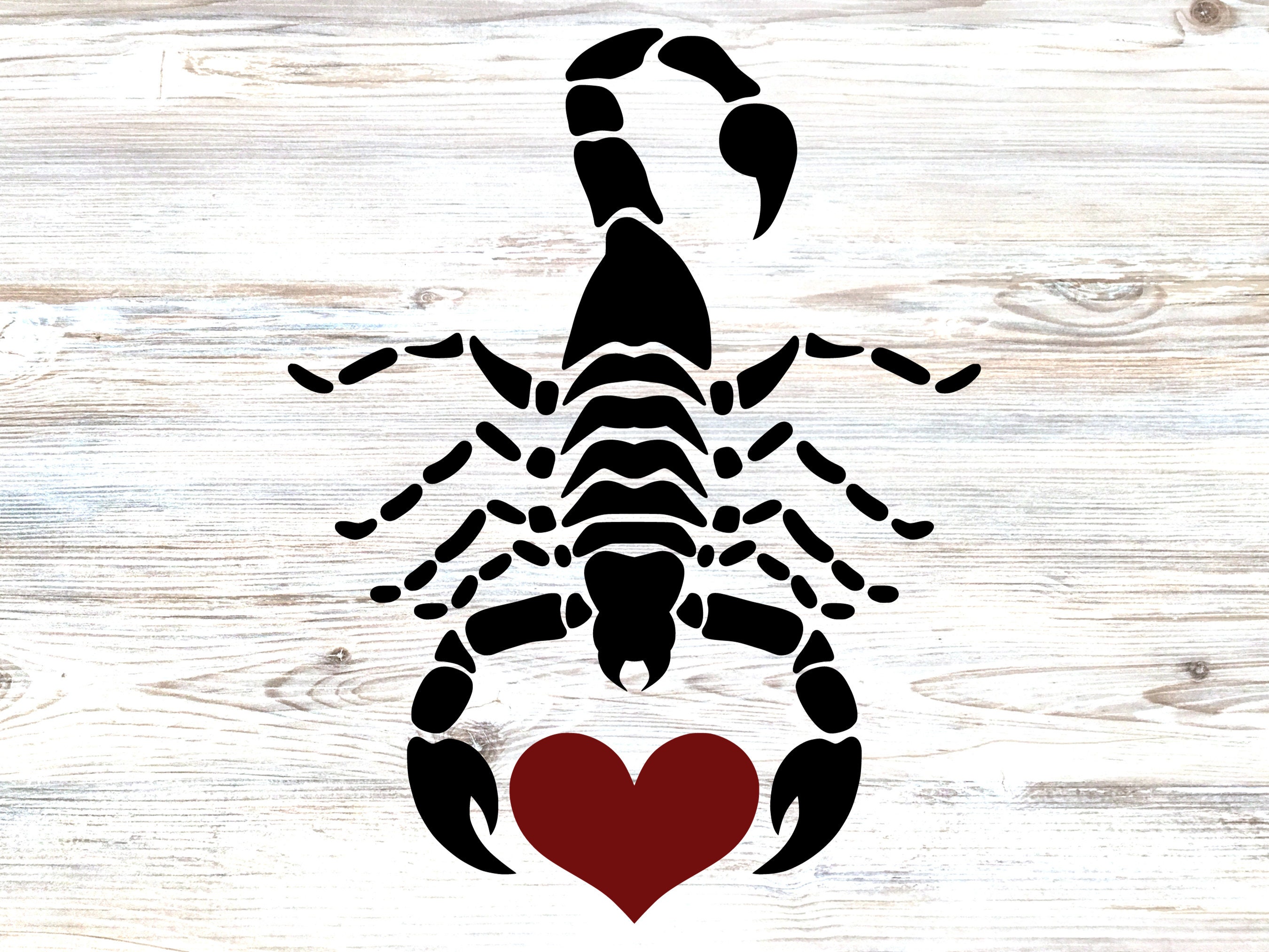 Scorpio Svg Bundle of 4, Scorpio Zodiac Svg, Astrology Svg, November ...