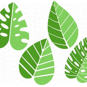Tropical Leaves Svg Bundle of 20, Tropical Leaf Svg, Monstera Leaf Svg ...