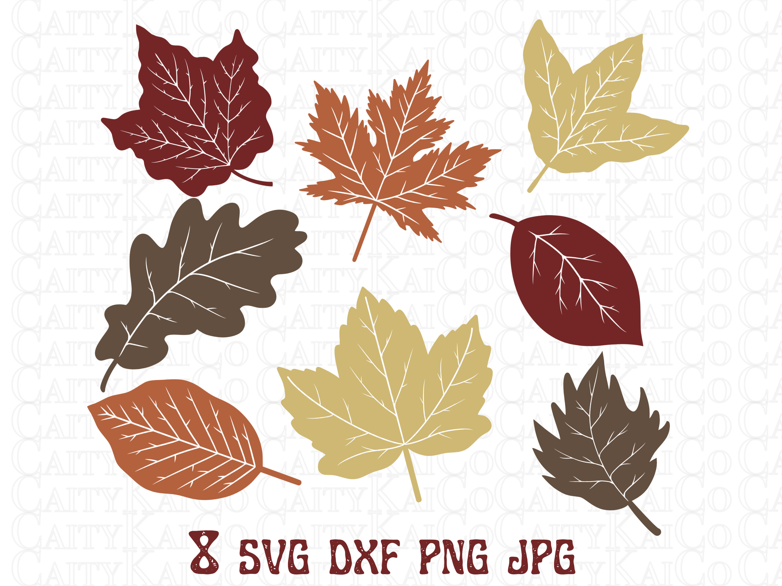 Fall Leaves Svg Bundle of 8 Autumn Leaf Svg Fall Leaf - Etsy