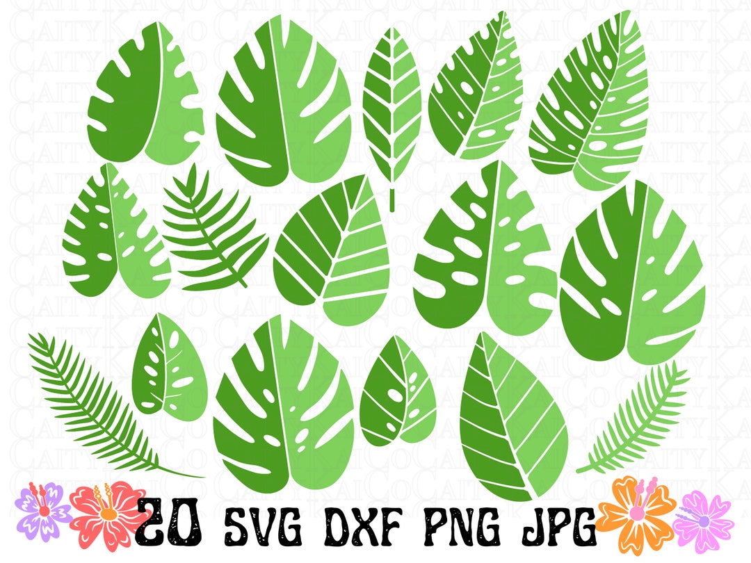 Tropical Leaves Svg Bundle of 20, Tropical Leaf Svg, Monstera Leaf Svg ...
