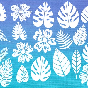 Tropical Leaves Svg Bundle, 20 Tropical Plant Svg, Monstera Leaf Svg ...